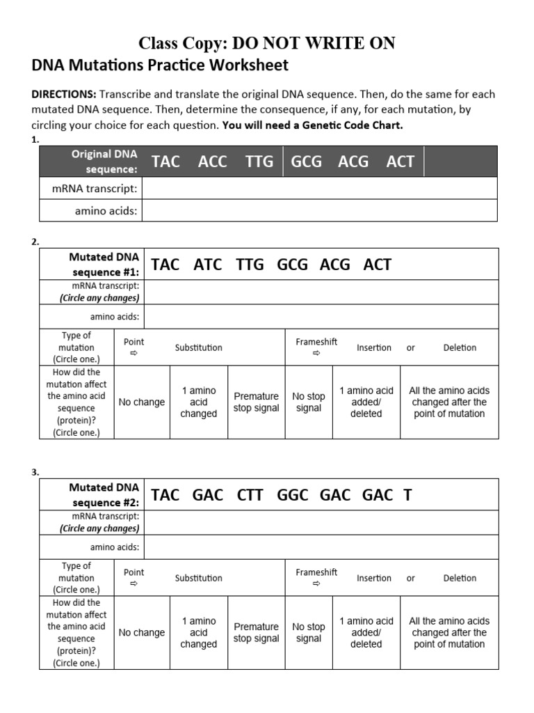 Mutations Practice Worksheet | Download Free PDF | Point Mutation ...