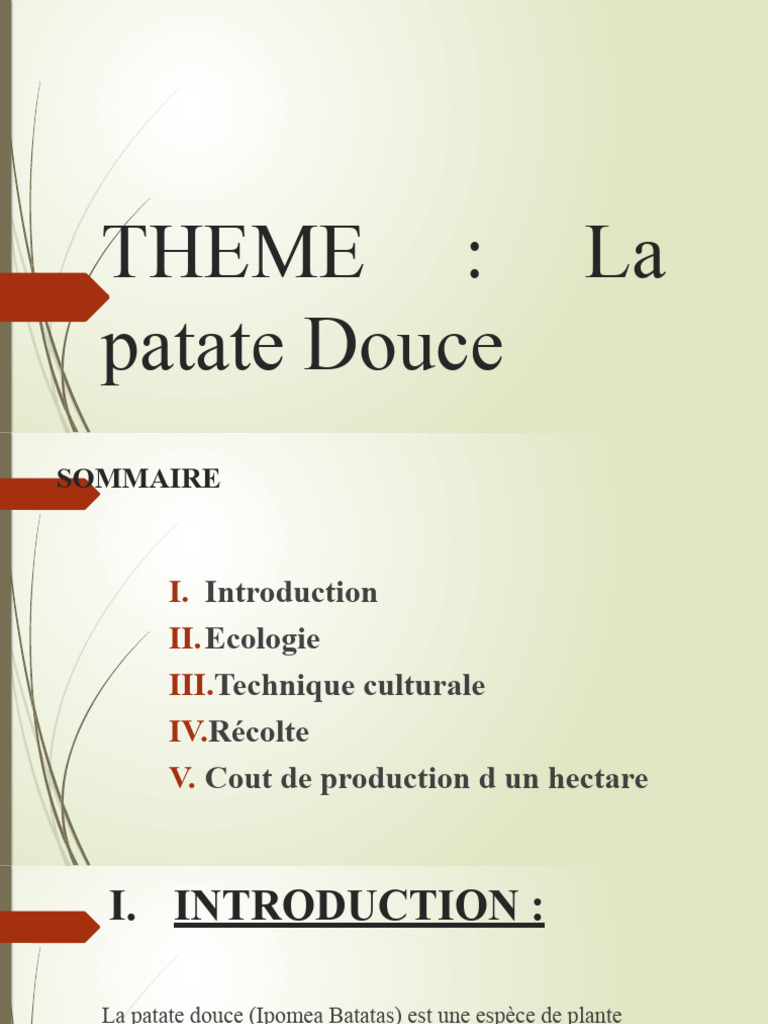 Culture et Production de la Patate Douce | PDF | Patate douce | Pomme ...