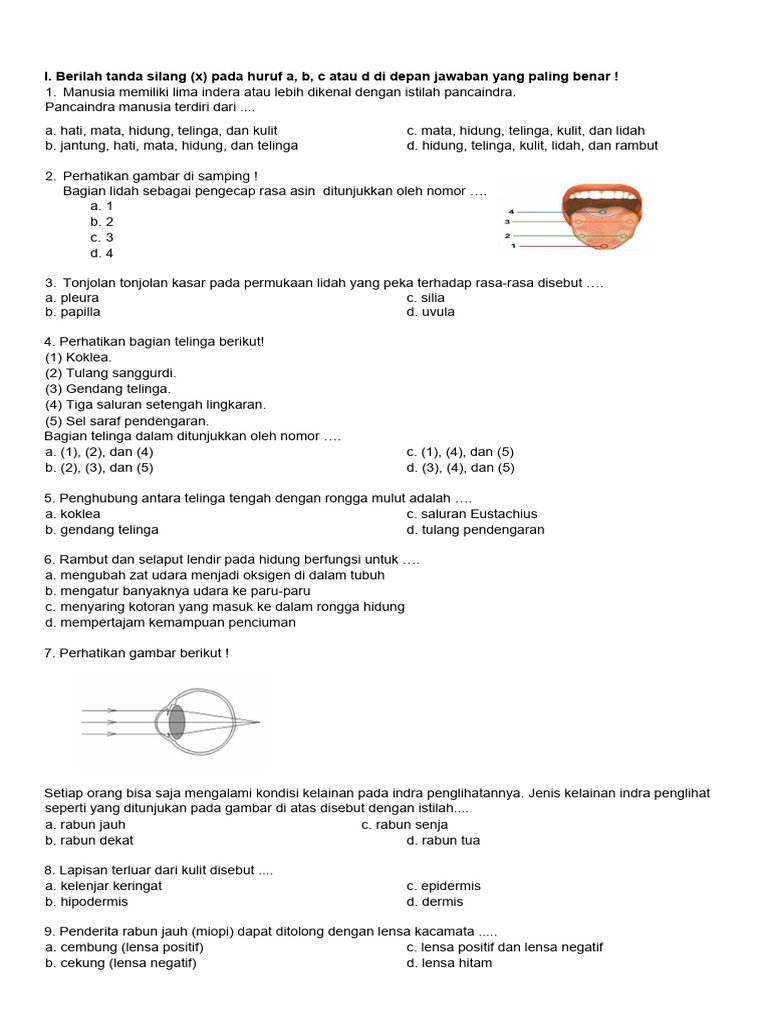 Soal PTS - STS IPAS Fase B Kelas 4 Semester 1 Kurikulum Merdeka T.A 2023-2024 | PDF