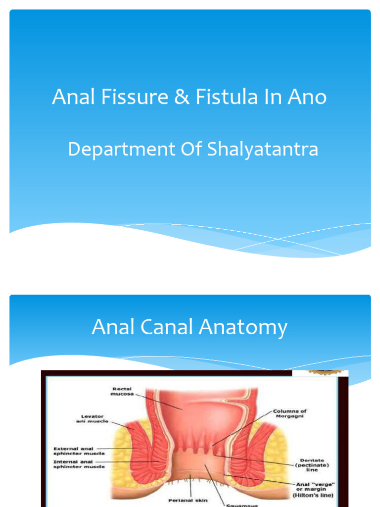 Anal Fissures and Fistulas Explained | PDF | Rectum | Hemorrhoid