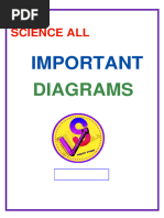 Important Diagrams for Class 10 Science | PDF | Sunset | Rainbow