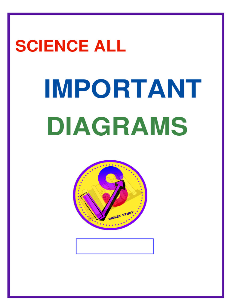 Important CBSE Class 10 Science Diagrams | PDF | Sunset | Rainbow