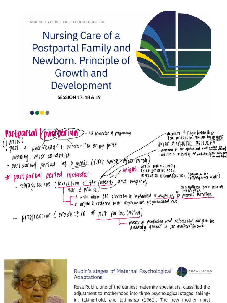 PowerPoint | Download Free PDF | Child Development | Behavioural Sciences