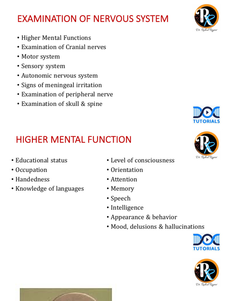 Higher Mental Function | PDF | Aphasia | Neuroscience