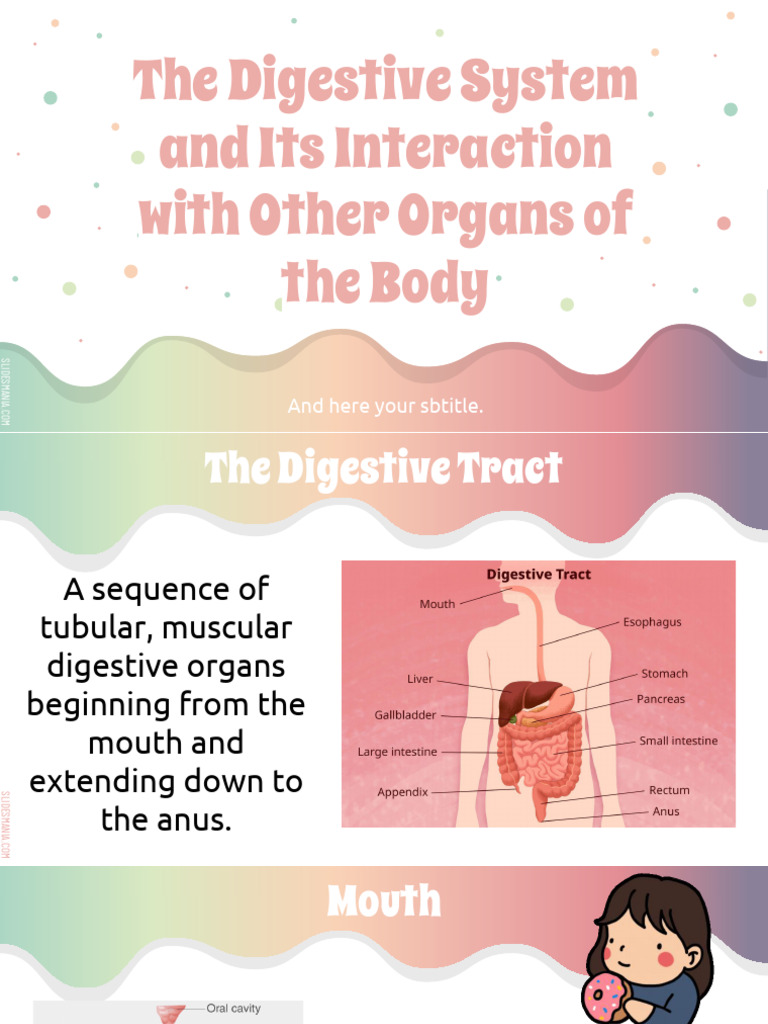 8DIGESTIVE-SYSTEM | Download Free PDF | Stomach | Human Digestive System