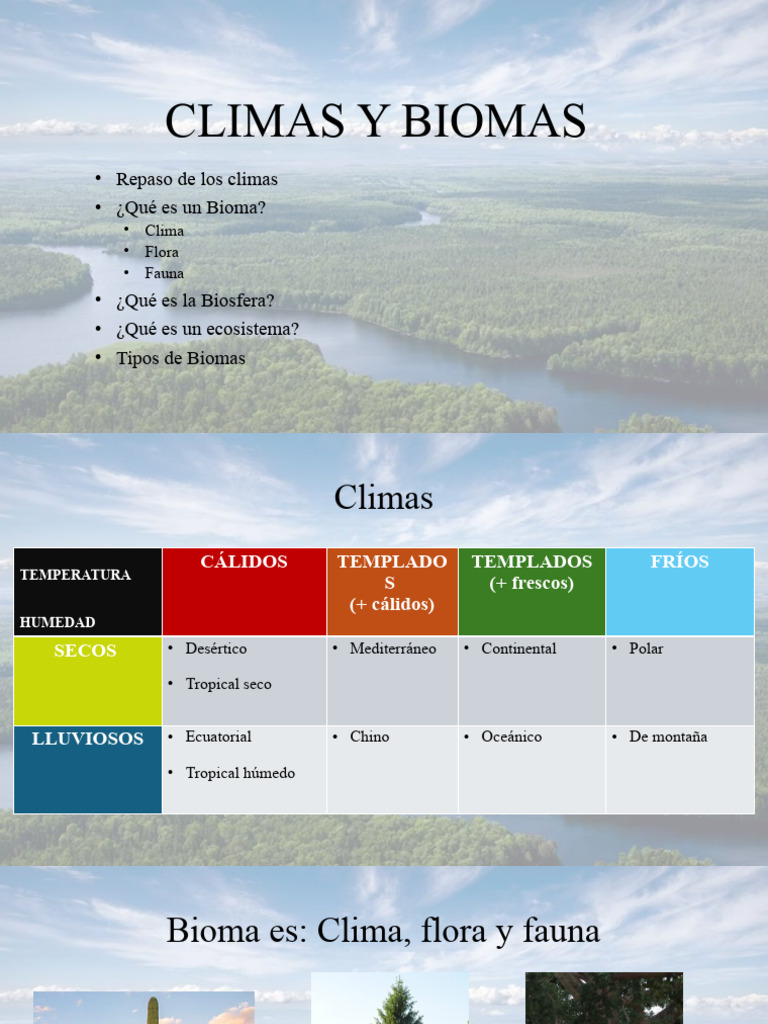 Climas y Biomas | PDF | Desierto | Ecosistema