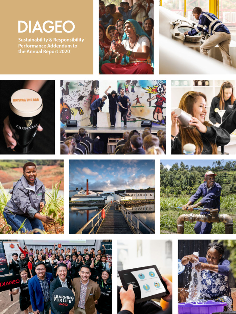 Diageo Sustainability - Responsibility Performance Addendum 2020 | PDF ...