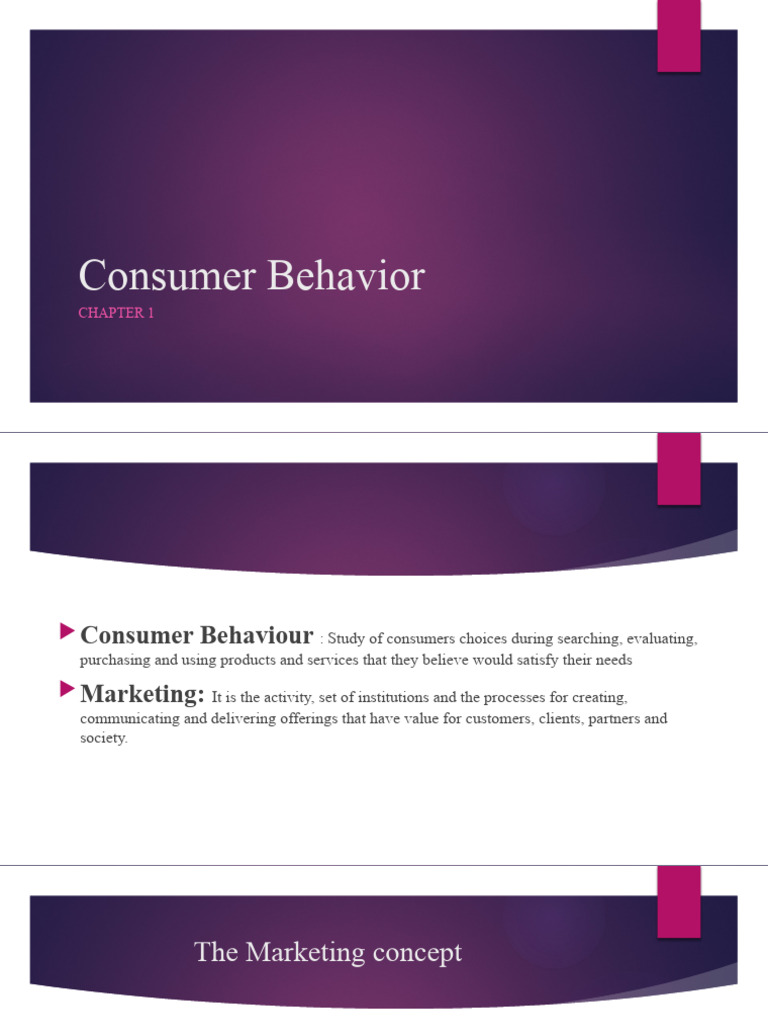Consumer Behaviour Chapter 1 | PDF | Market Segmentation | Marketing