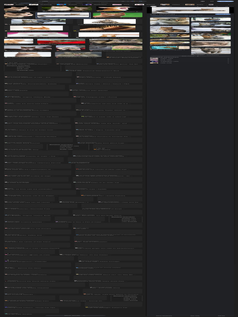 Cats Google Search Pdf Cats Pet