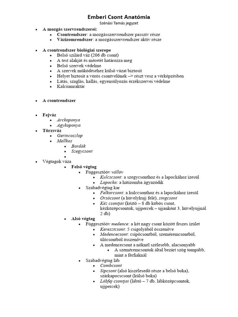 Anatómia Csont Jegyzet | PDF