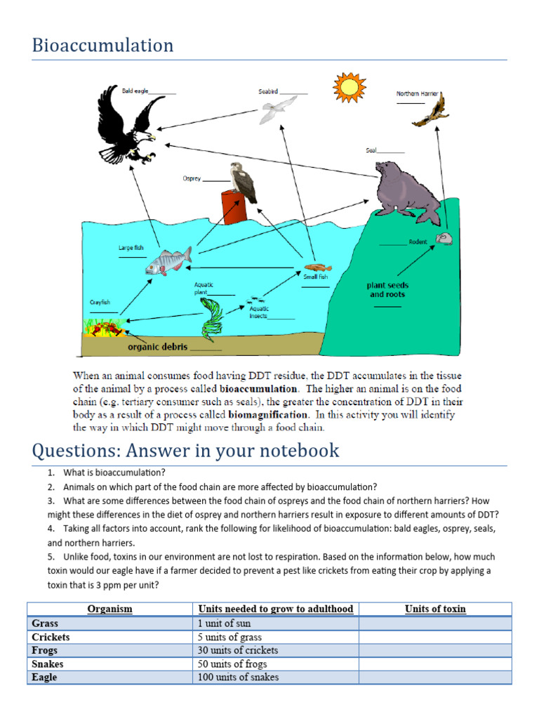 Eagles biomagnification Study | Download Free PDF | Bald Eagle | Ddt