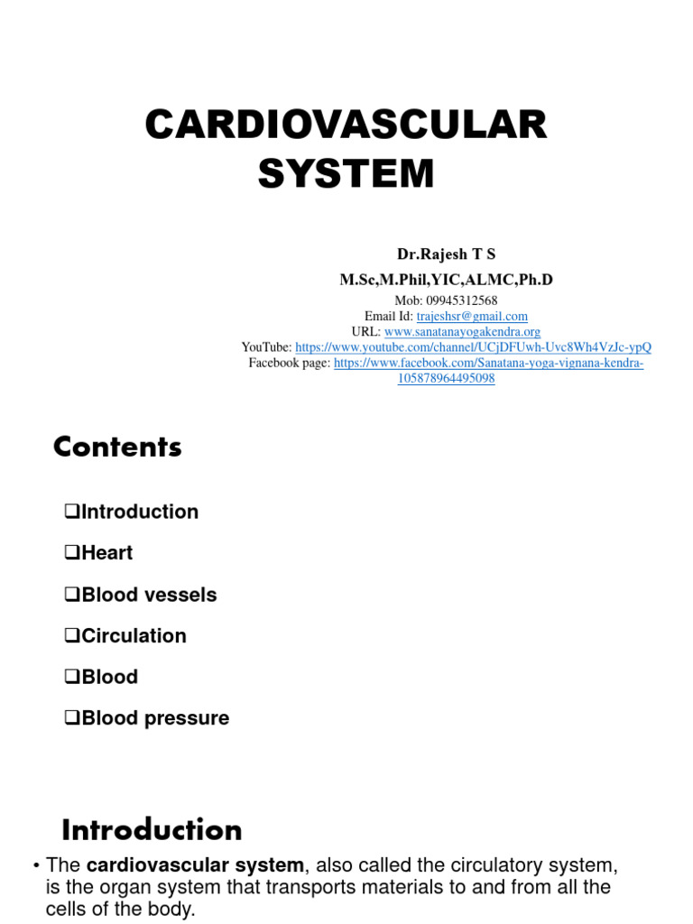 Circulatory System | Download Free PDF | Heart | Blood Vessel