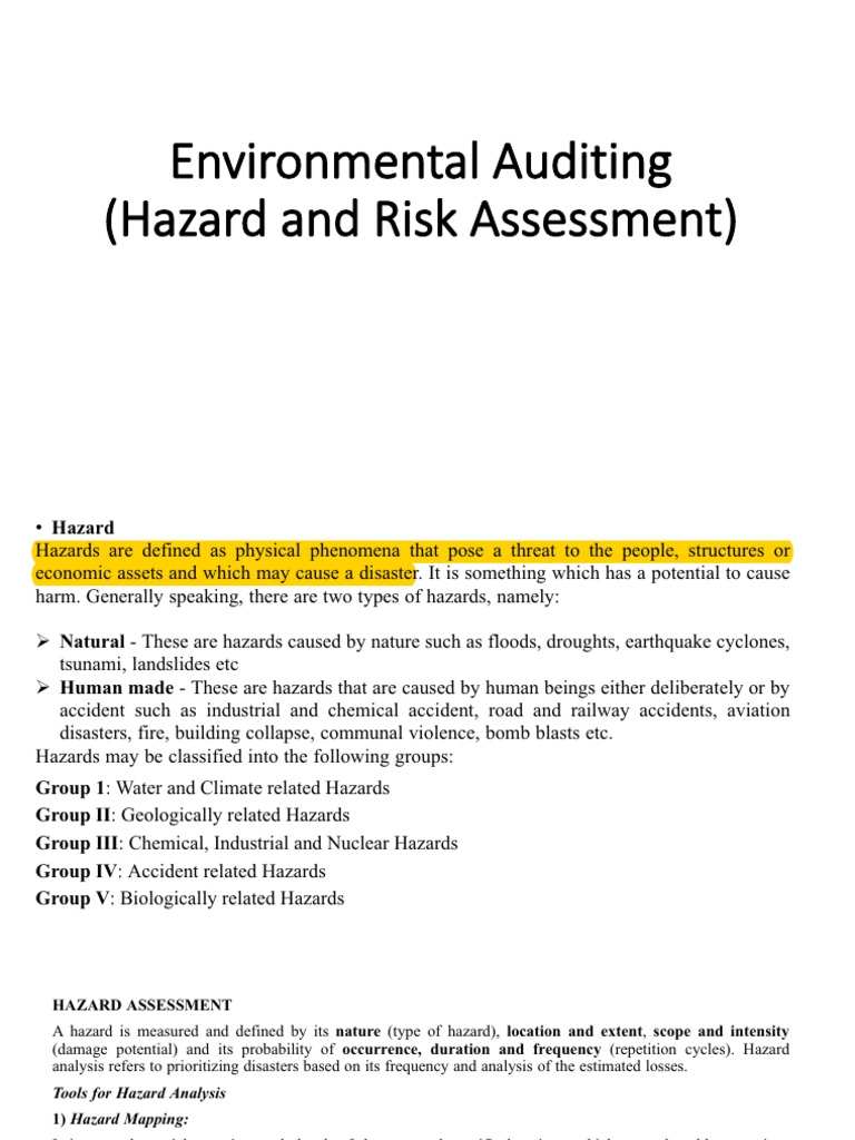 Env Audit_ 2024(1)(1) | Download Free PDF | Hazards | Risk