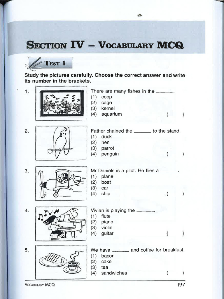 Section 4 Vocabulary MCQ Test 1 To 20 | PDF