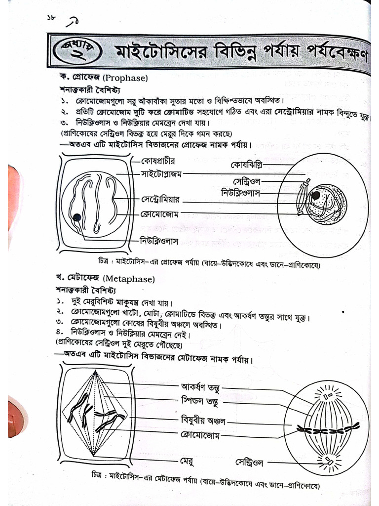 Biology 1st Practical - HSC 25 | PDF