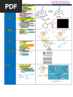 FDA Pregnancy Drug Safety Categories | PDF