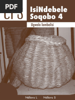 amabizo-summary-applied-african-language-zulu | PDF