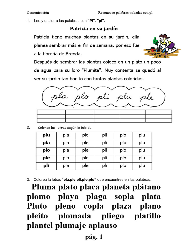 ANEXO LETRA PL | PDF