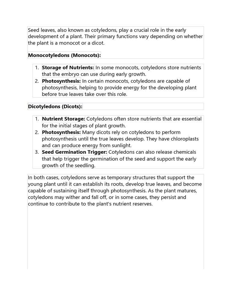 Functions of Seed Leaves and Their Classifications | PDF | Leaf | Seed