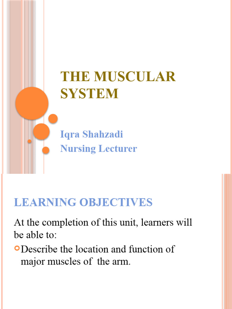 Upper Limb Muscles | PDF