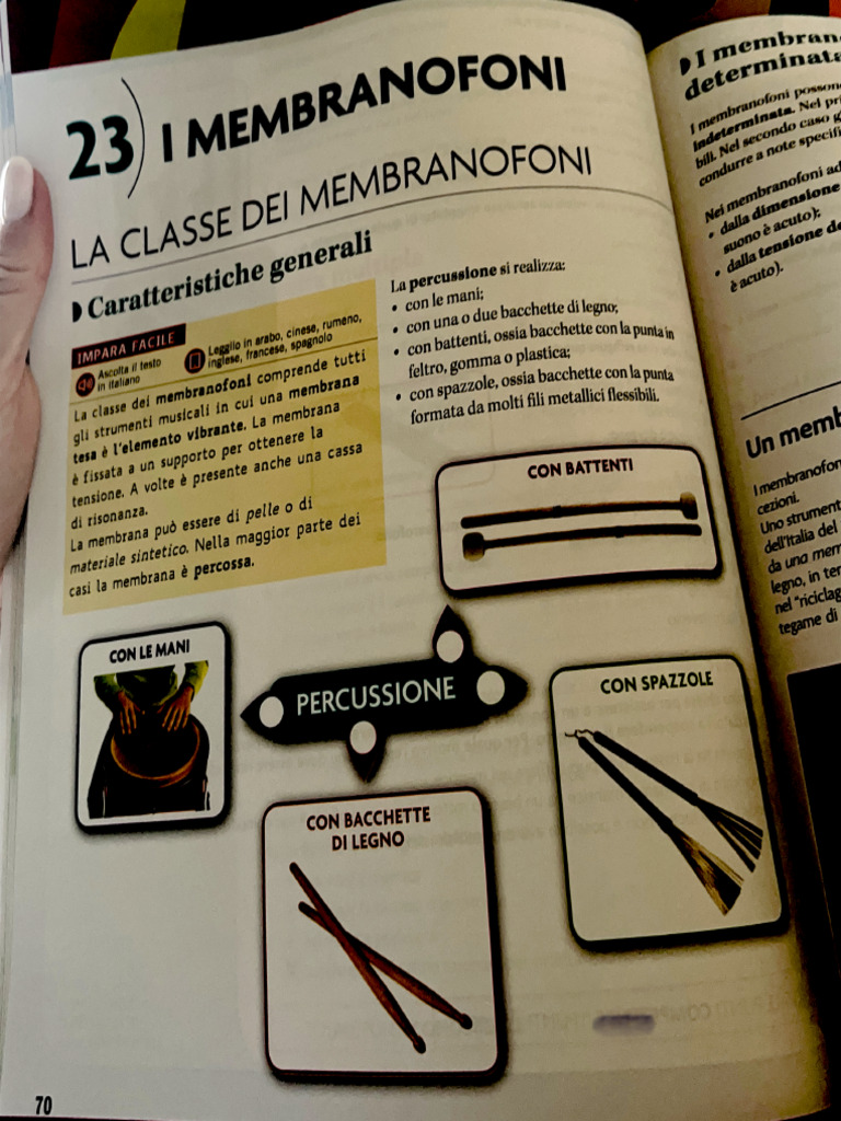 La Classe Dei Membranofoni | PDF