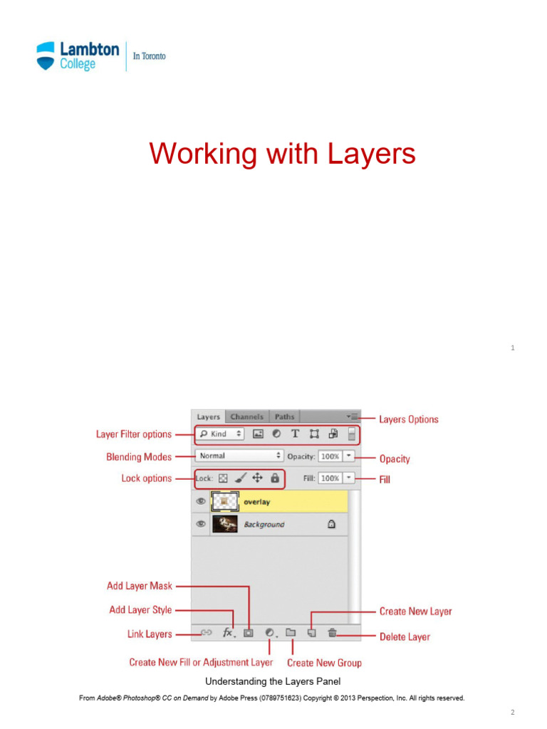 05 Working With Layers | PDF | Adobe Photoshop | All Rights Reserved