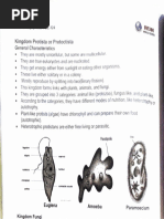Characteristics of Protoctists Explained | PDF