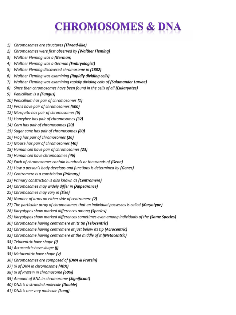 Biology Chromosomes and DNA | PDF | Base Pair | Dna