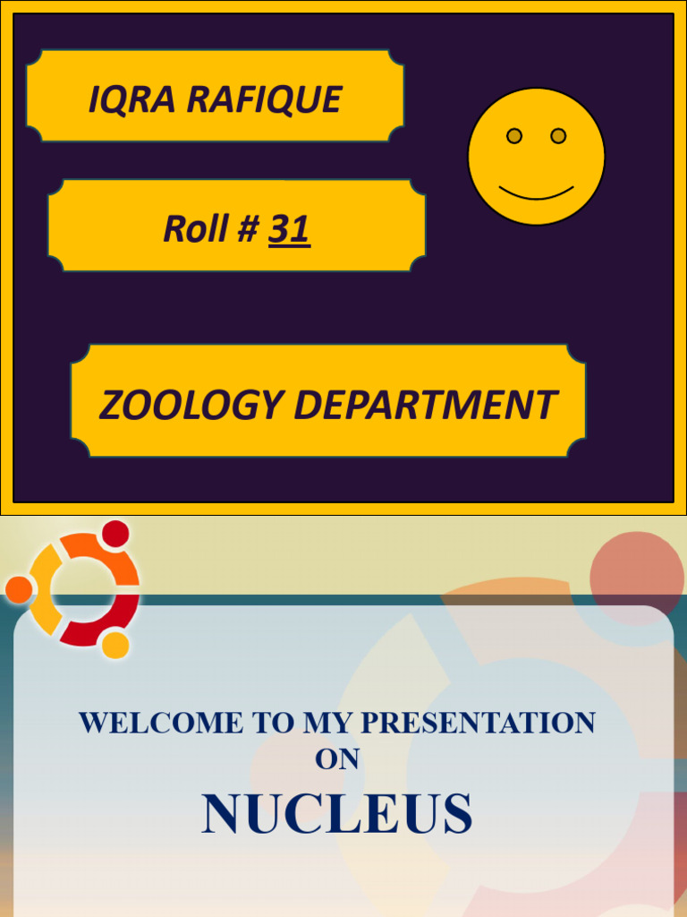 Nucleus Pdf Chromosome Cell Nucleus