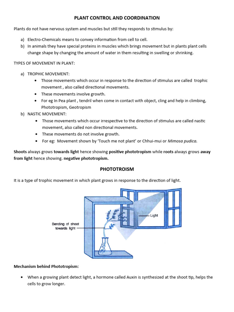 Plant Control and Coordination | PDF | Plant Hormone | Auxin
