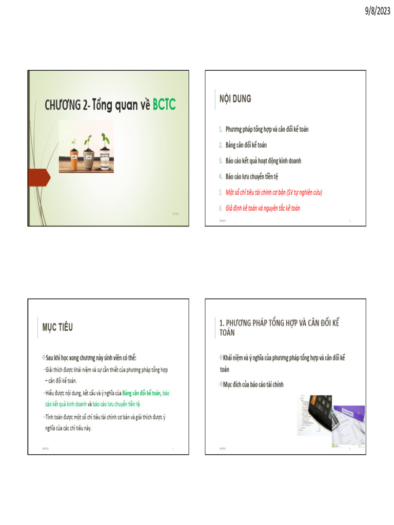 C2 Tổng quan về BCTC | PDF