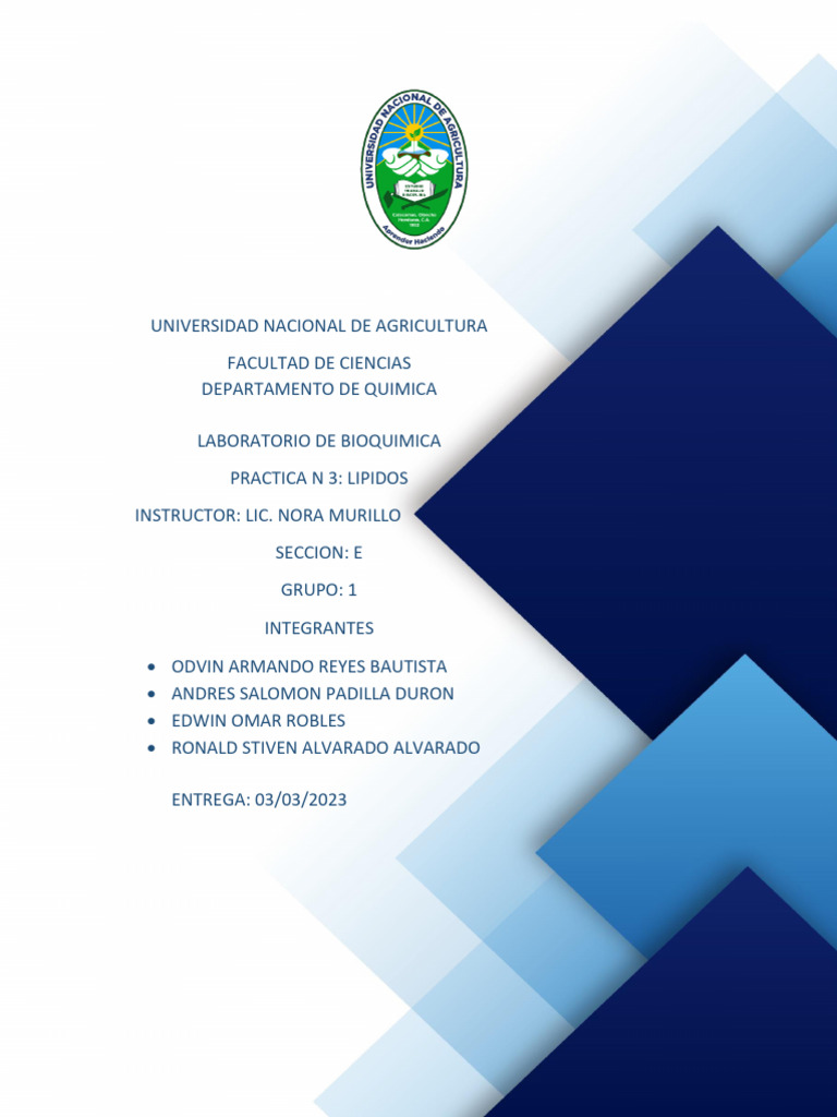 Practica 3 Lipidos Pdf Jabón Lípido