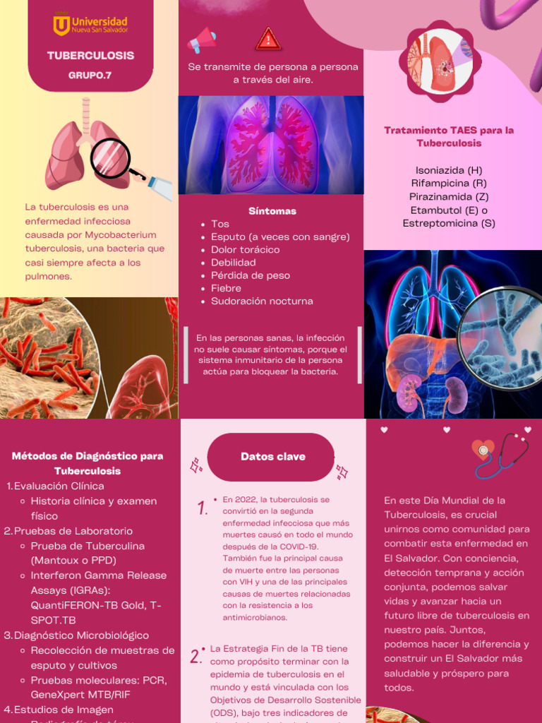 Brochure Triptico TBC | PDF | Tuberculosis | Salud pública