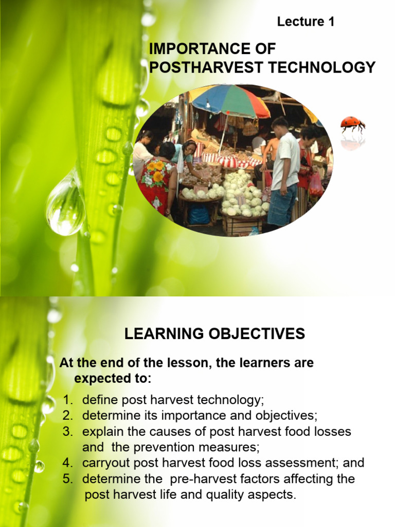 Lecture1 Importanceofpostharvesttechnology 160515074807 | PDF | Vegetables | Postharvest