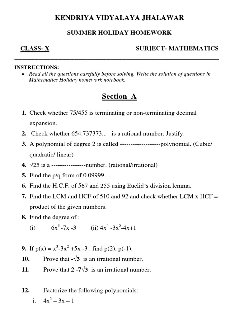 X Maths Summer HHW 2024 | PDF