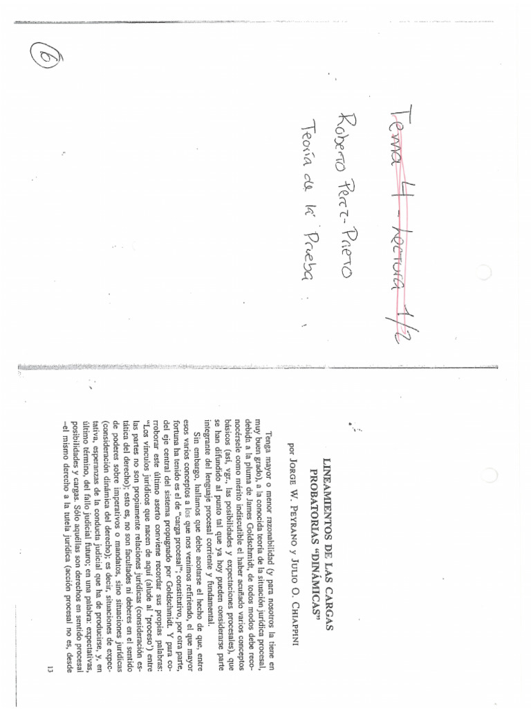 Tema IX Lectura 1 - Chiappini, Julio - Peyrano, Jorge | PDF