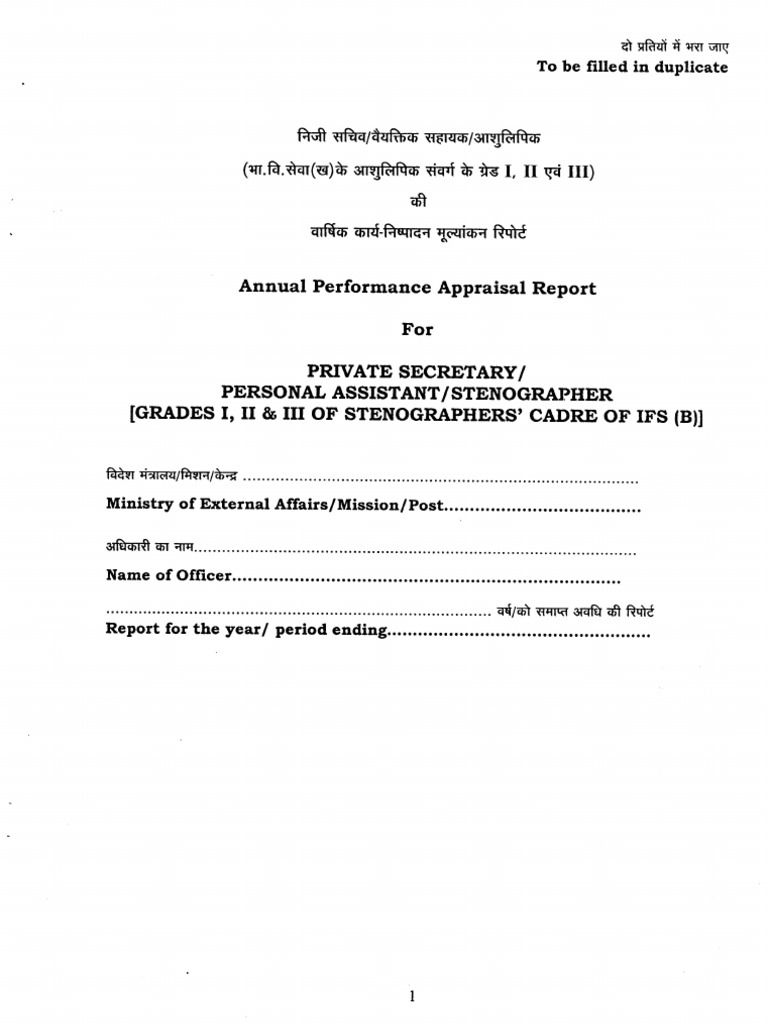 Annual Performance Appraisal Report | PDF | Labour | Computing And ...