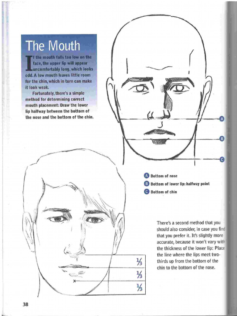Figure It Out! Human Proportions - Draw The Head and Figure Right Every ...