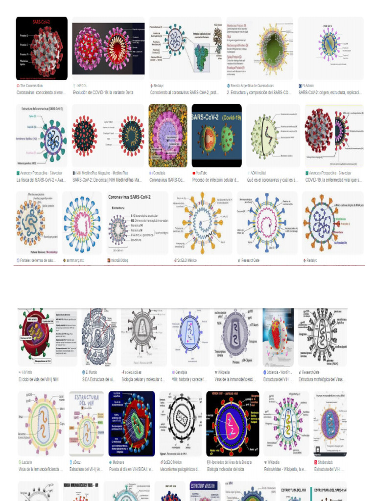 Qué son los virus y cómo funcionan | PDF | Virus | Sistema inmune