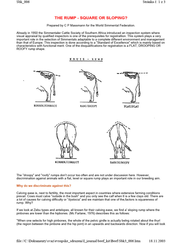 Rump Study | PDF | Pelvis | Cattle