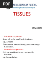 Tissues - PPT - Grade 9 | PDF | Epithelium | Tissue (Biology)