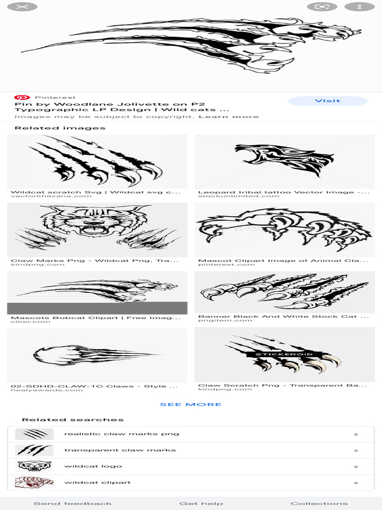 Tiger Tear Drawing - Google Search | PDF | Computers