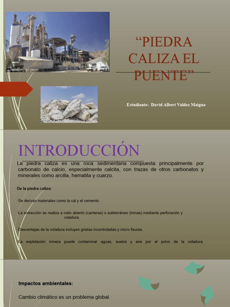 Piedra Caliza en El Puente, Tarija | PDF | Minería | Bolivia
