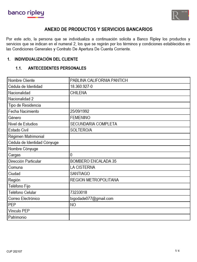 Anexo Cuenta Cte | PDF | Documento de identidad | Bancos