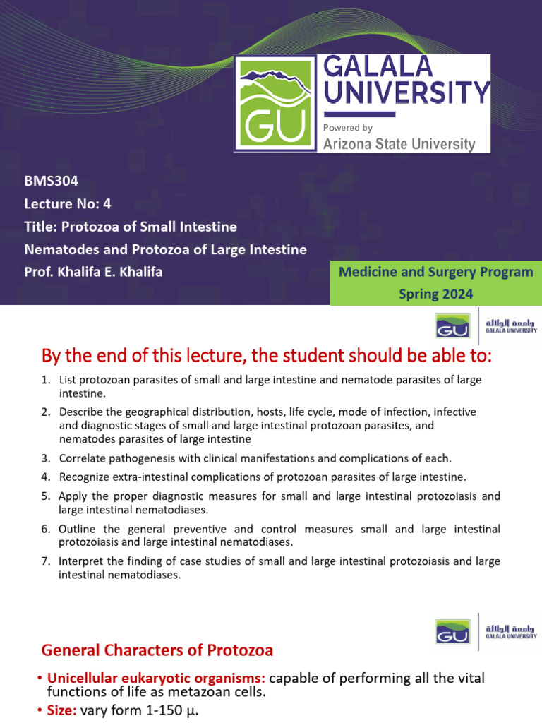Lec 39. Parasitol Protozoa of SI, Protozoa, Nematodes LI | Download Free PDF | Gastroenterology ...
