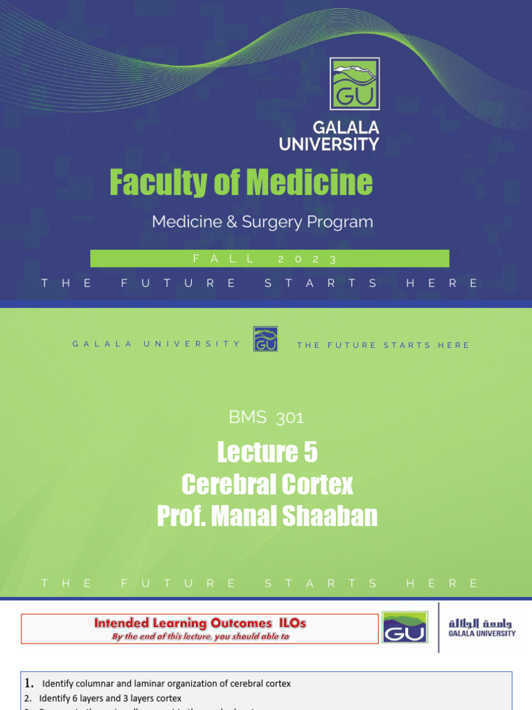 BMS301, L33, Histology, Cerebral Cortex | PDF | Central Nervous System | Neuroanatomy