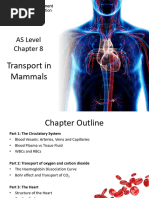 Tissue Fluid Formation in Capillaries | PDF | Lymph | Vein