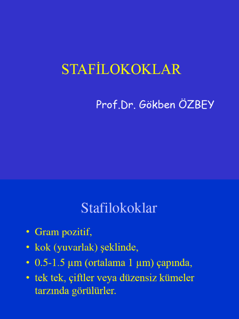 Stafilokoklar | PDF