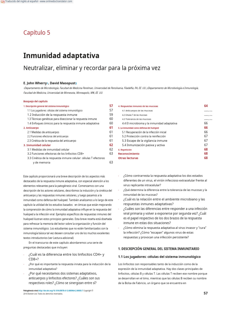 Parcial 2 Inmunidad Adaptativa (1) .En - Es | PDF | Célula T | Sistema inmune
