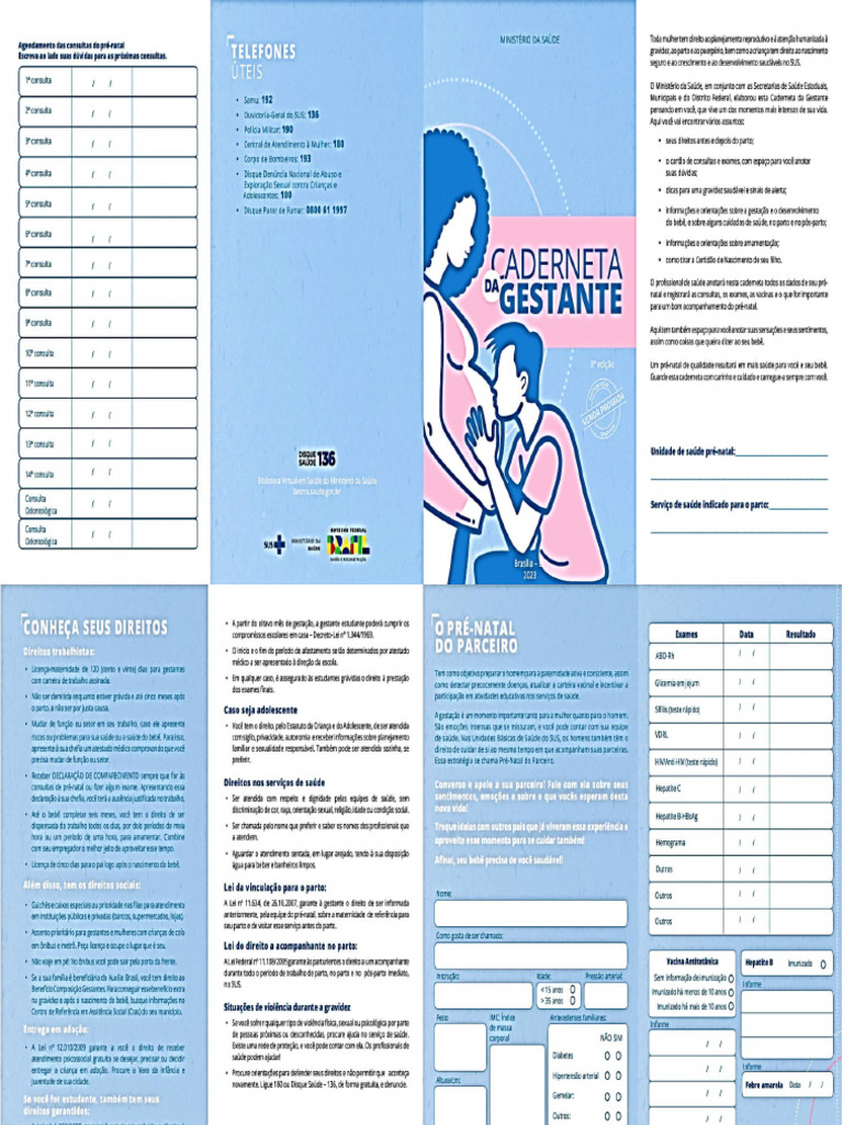 Caderneta Da Gestante | PDF